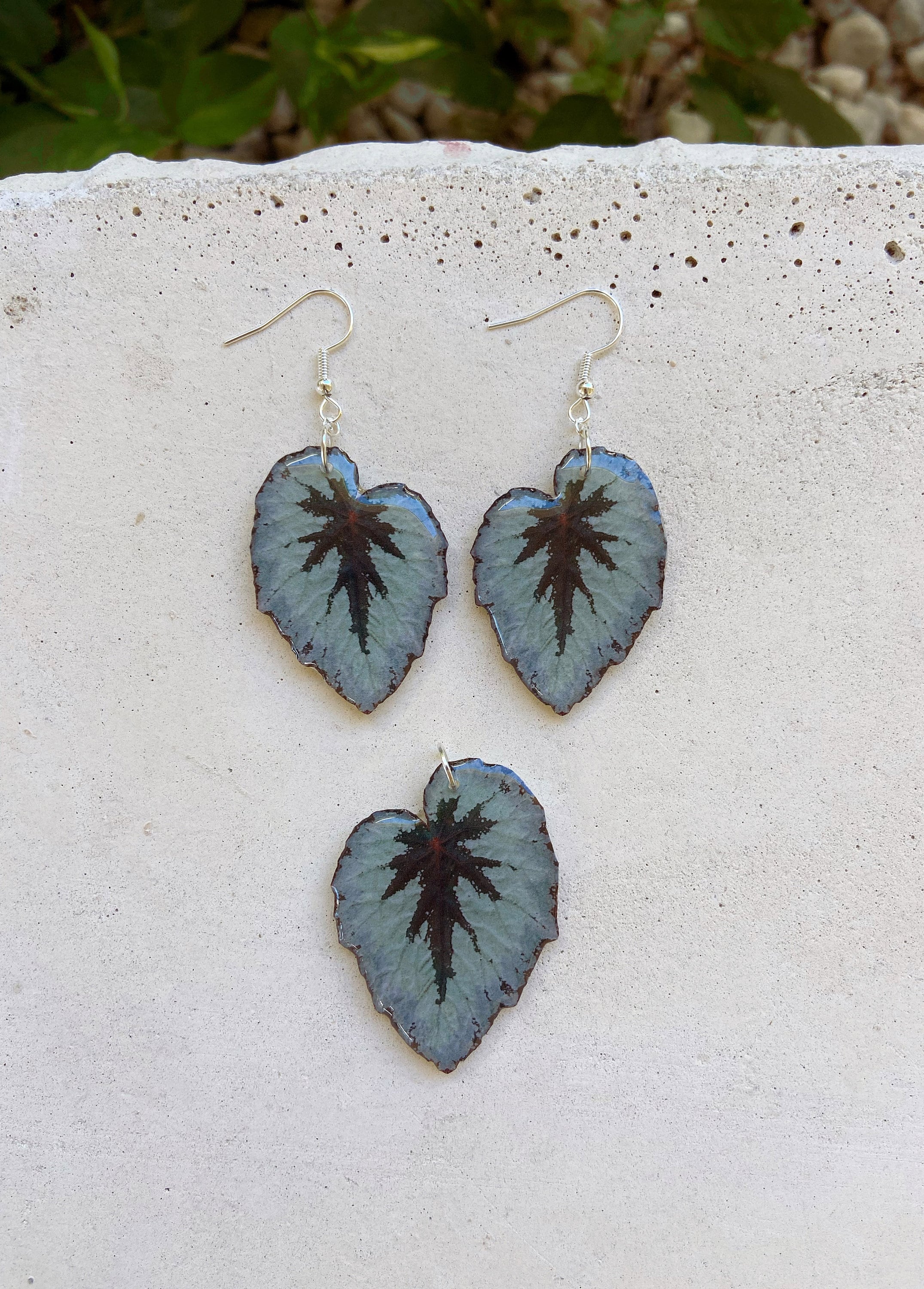 Begonia Fire Woman Plant Pendant, Begonia Rex, Leaf Pendant, Houseplant ...