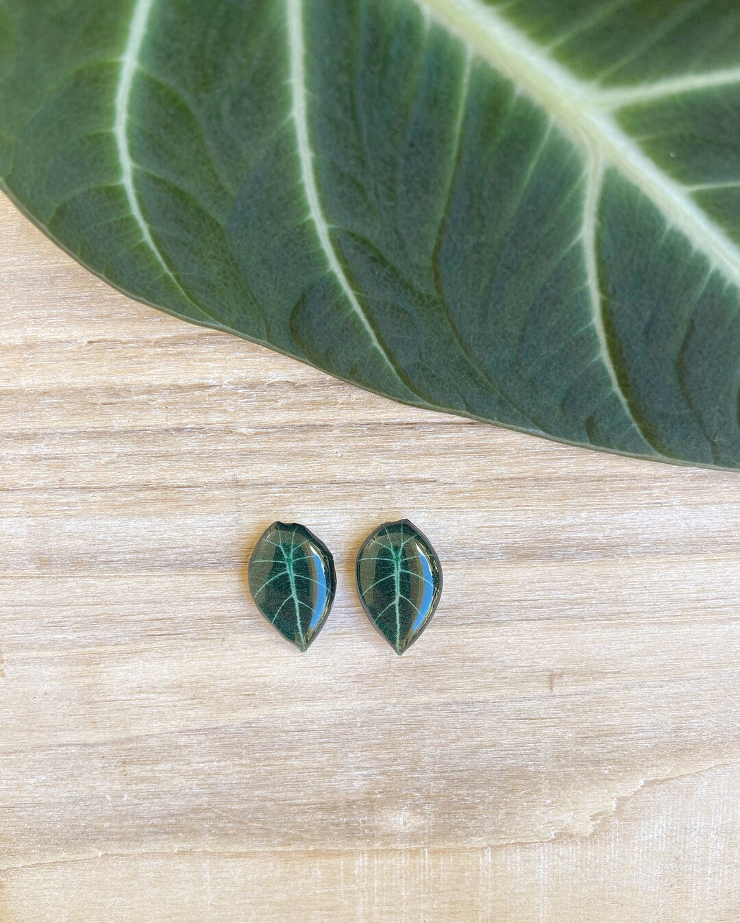 Alocasia Black Velvet Stud Earring, Tropical Leaf Studs, Houseplant ...