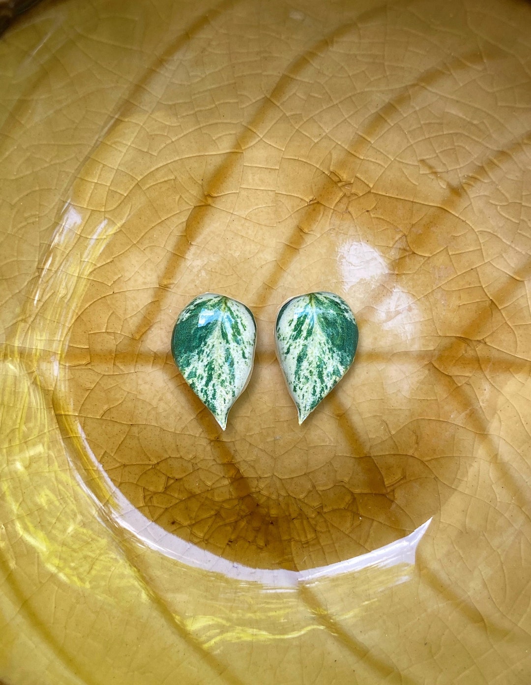 Aglaonema Plant Stud Earrings, Chinese Evergreen Leaf, Houseplant ...