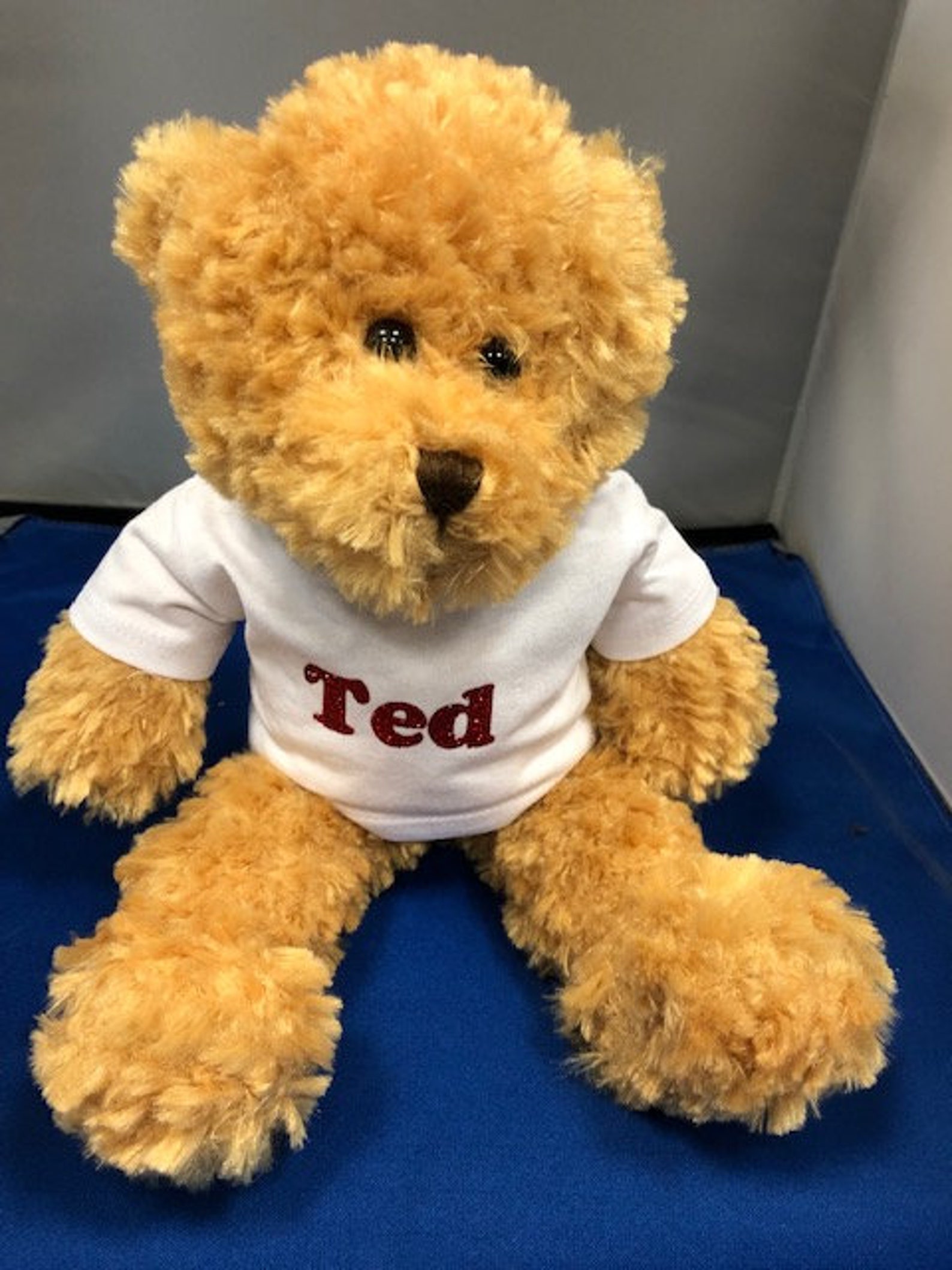 Personalised Teddy T-shirt or Hoody available in Different | Etsy UK
