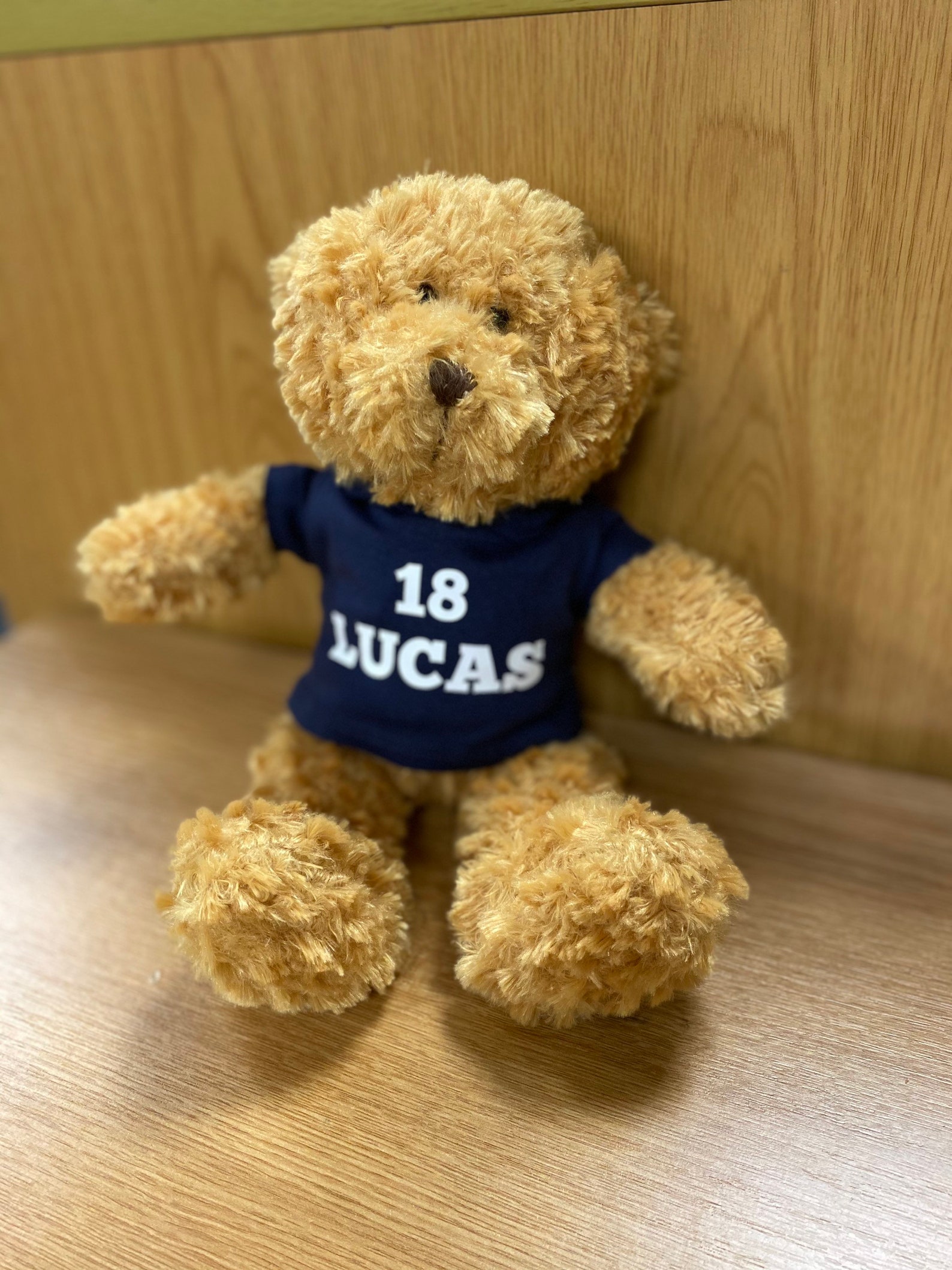 Personalised Teddy T-shirt or Hoody available in Different | Etsy UK