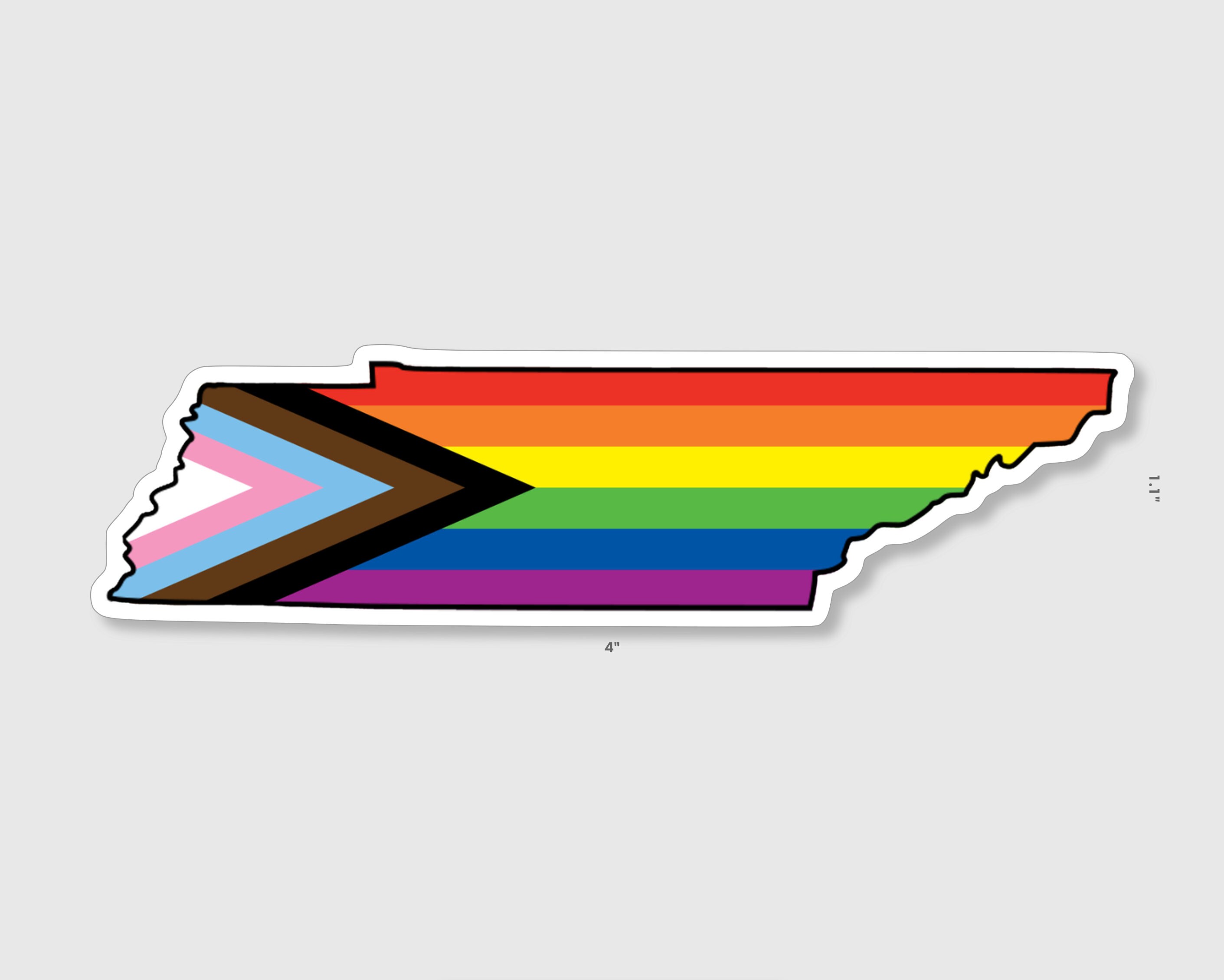 Pack of 5 Progress Flag State Pride Stickers - Pick Your State - Etsy