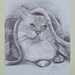 Cat Under the Ceiling Drawing Original Unique Ballpoint Pen Fauna in ...