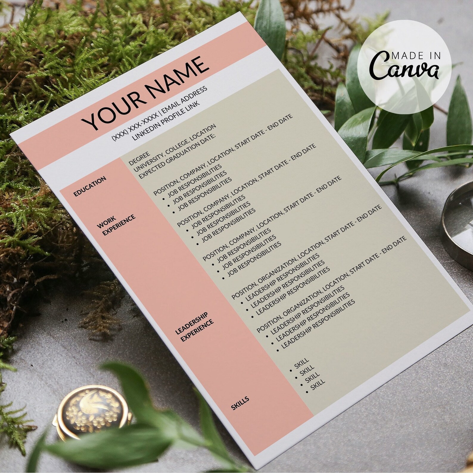 Simple Resume Resume Template 1 Page Resume College - Etsy