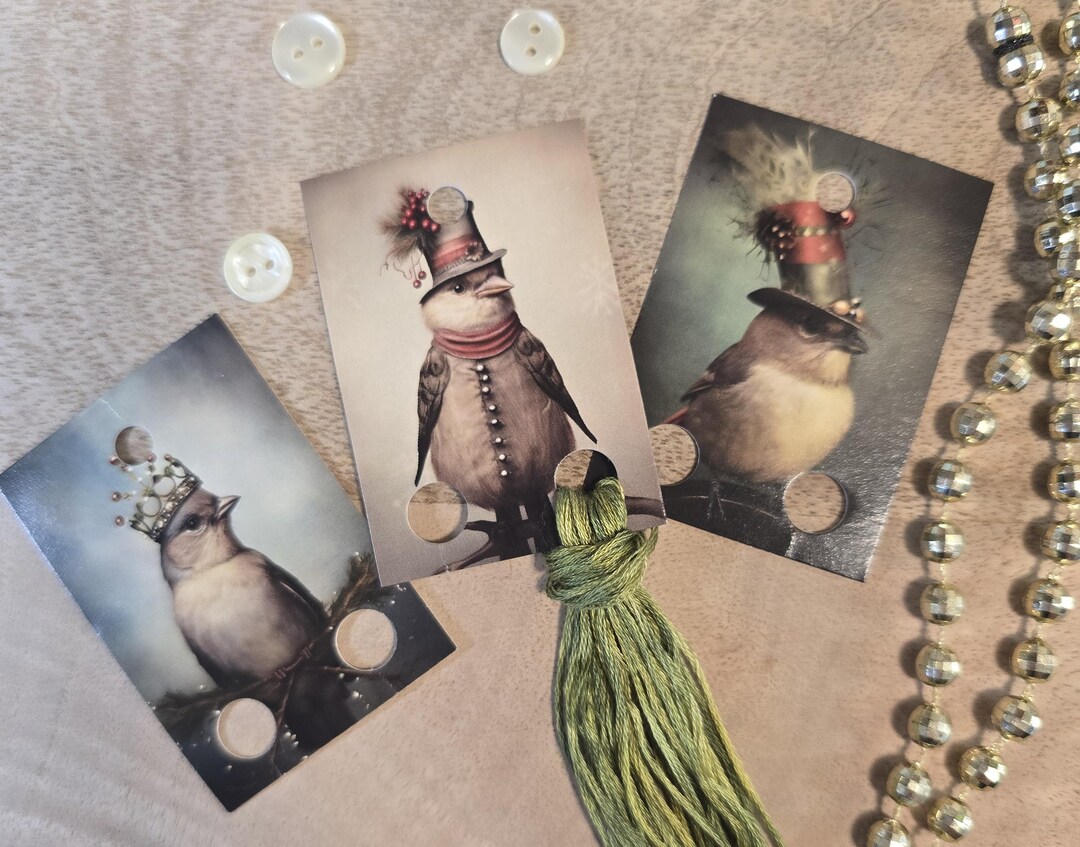 Floss Drops Set of 20 Christmas Sparrow, Thread Cards, Floss Tags - Etsy
