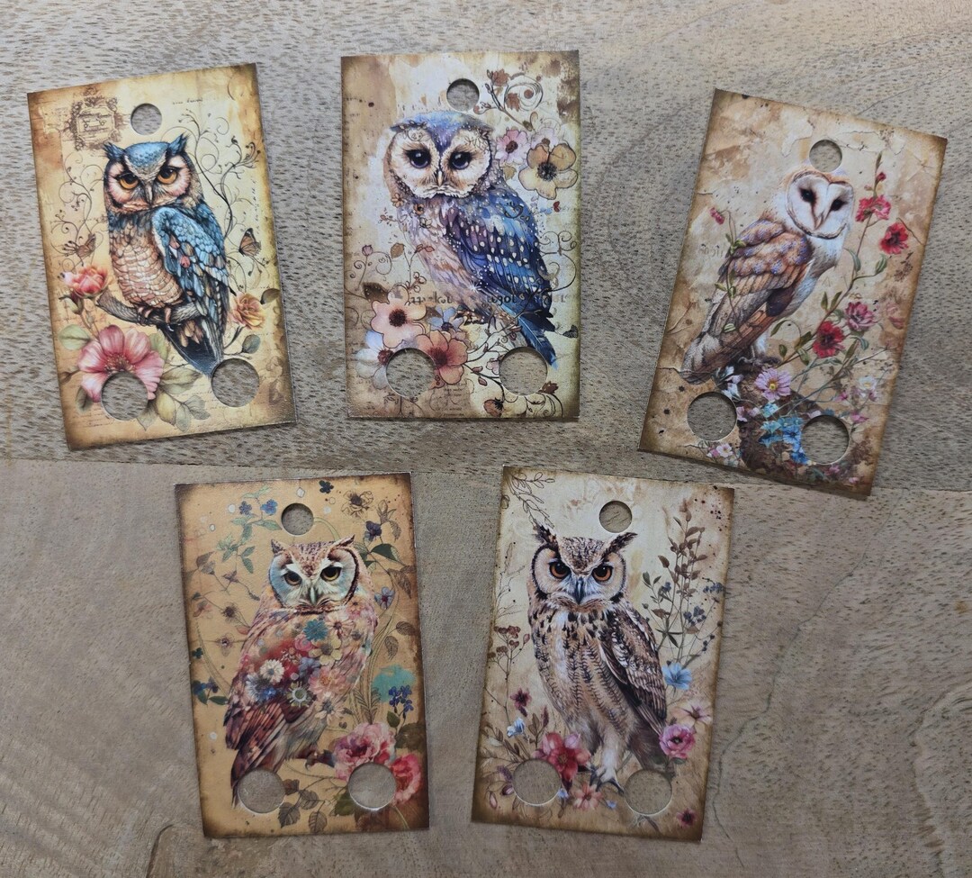Floss Drops Set of 20 Owls, Thread Cards, Floss Tags - Etsy