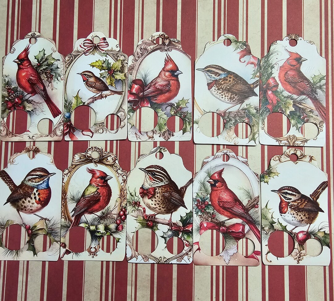 Floss Drops Set of 20 Christmas Birds, Thread Cards, Floss Tags - Etsy