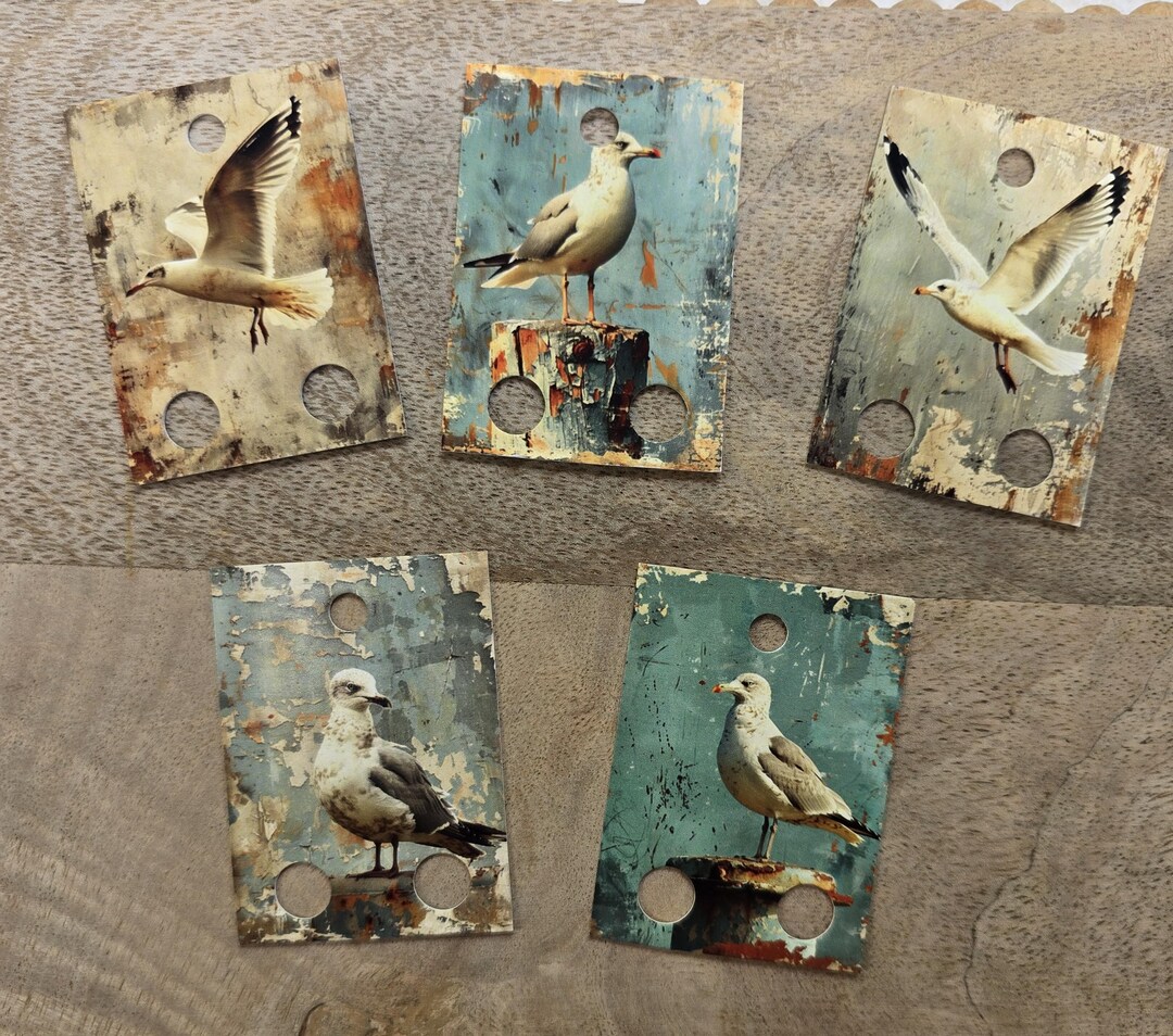 Floss Drops Set of 20 Seagulls, Thread Cards, Floss Tags - Etsy