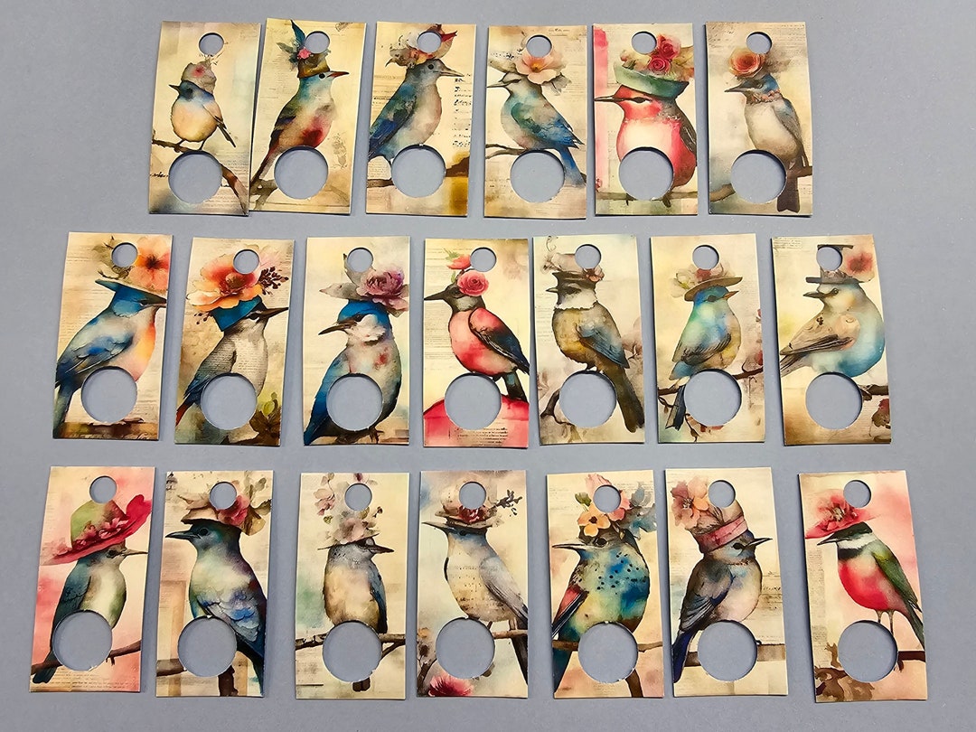 Floss Drops Set of 20 Birds in Hats Minis, Thread Cards, Floss Tags - Etsy