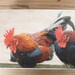 Decorative Stool / Stand With Roosters Photo Transferred Onto - Etsy