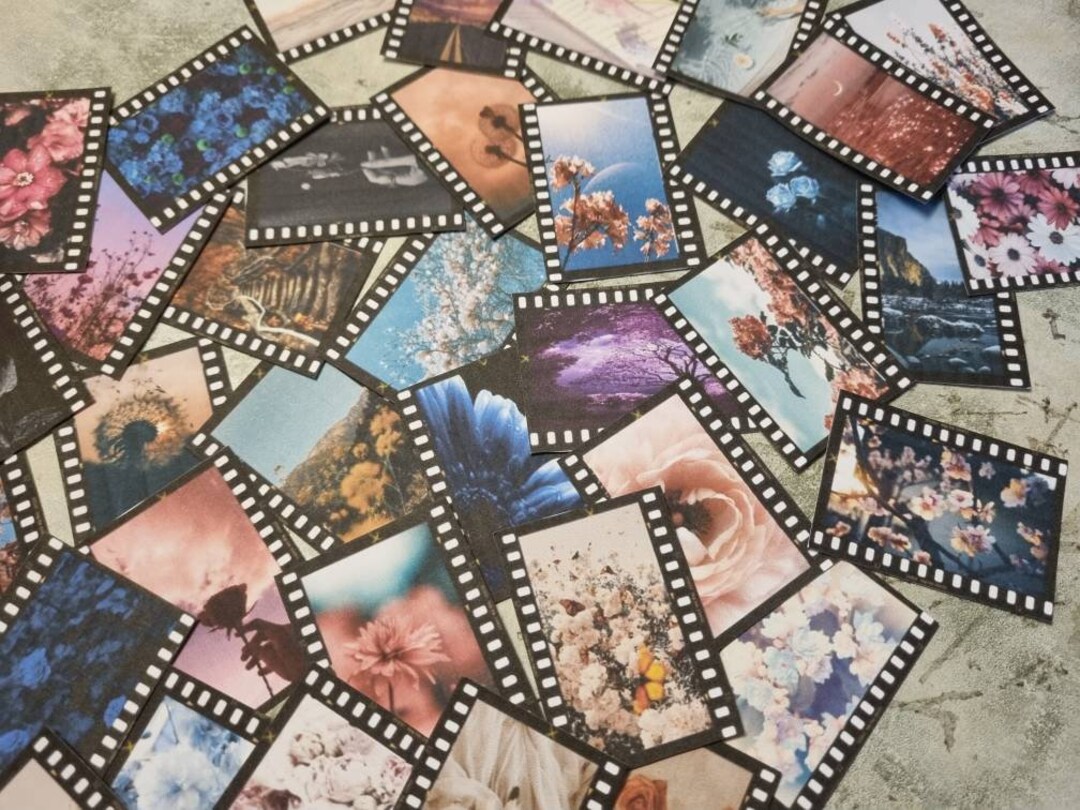 Botanical Photo Negative Sticker Set/ Floral Photo Negative Stickers ...