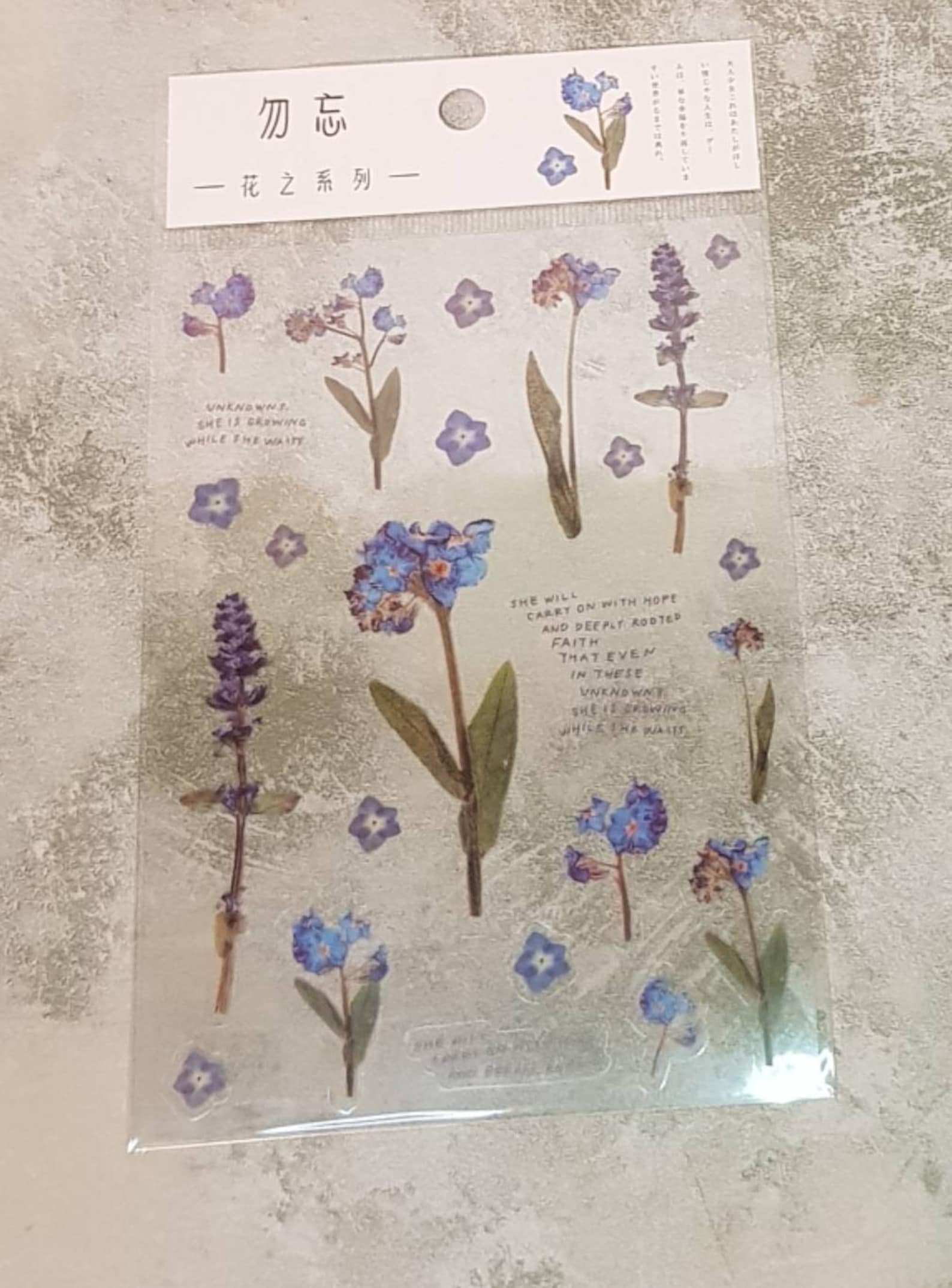 Botanical Sticker Set/ Pressed Flower Sticker Pack/ Acetate | Etsy