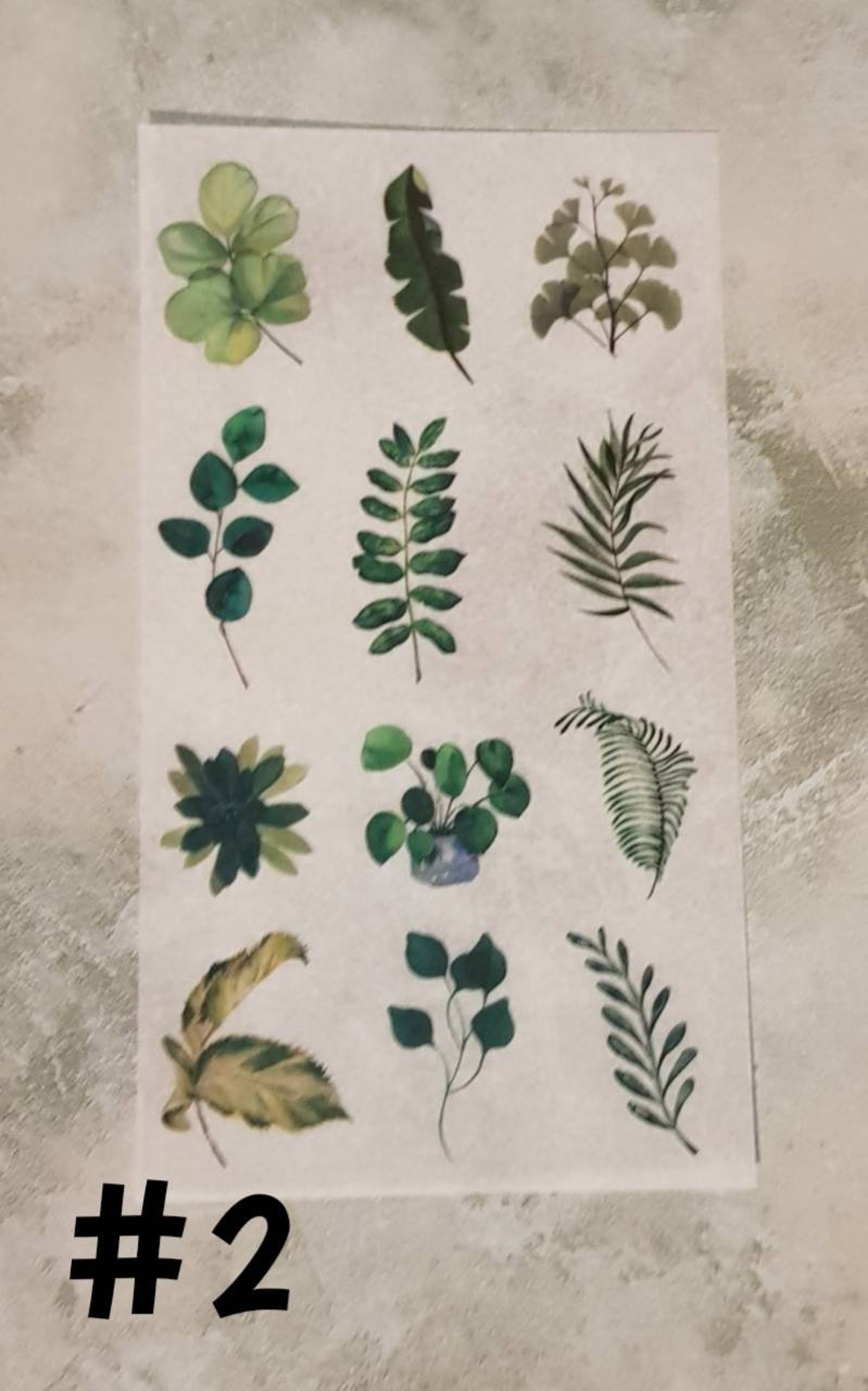 Vibrant Botanical Sticker Set/ Decorative Leaf & Vine Sticker - Etsy UK