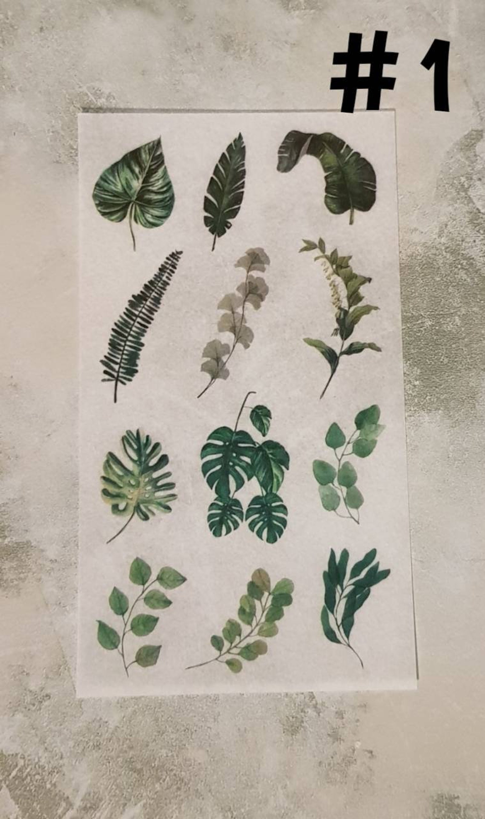 Vibrant Botanical Sticker Set/ Decorative Leaf & Vine Sticker - Etsy UK