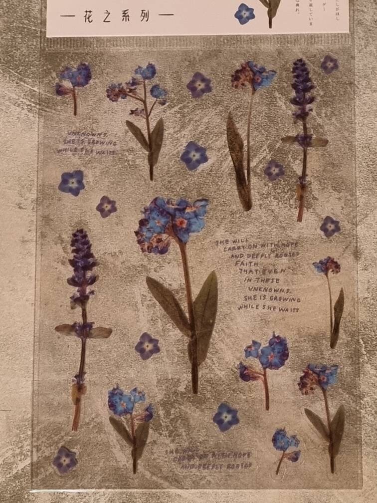 Botanical Sticker Set/ Pressed Flower Sticker Pack/ Acetate | Etsy