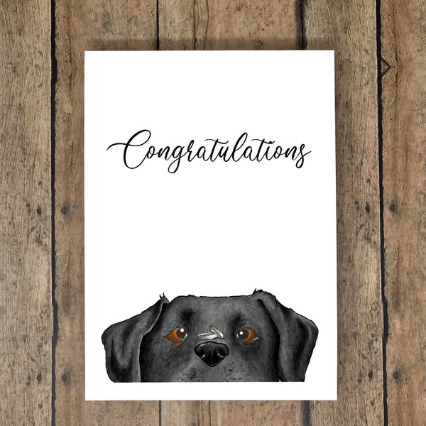 Black Lab Greeting Card - Etsy