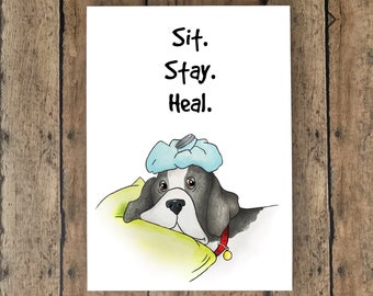Dog Get Well Soon Card Sit Stay Heal Funny Dog Card Puppy - Etsy