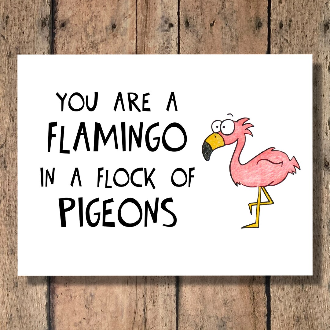 Funny Greeting Card You Are a Flamingo in a Flock of Pigeons - Etsy