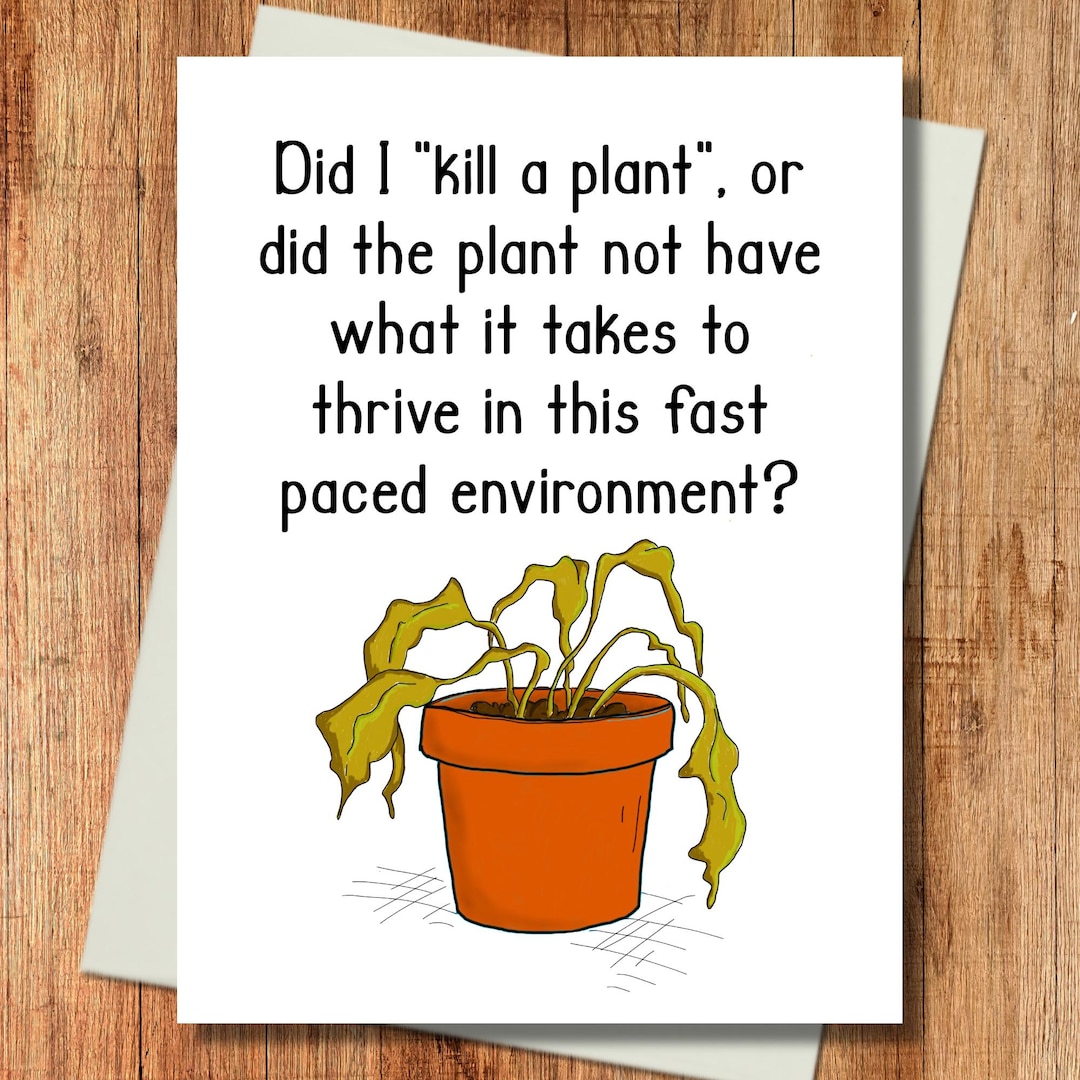 Funny Greeting Card - Did I "kill a Plant"? - Etsy