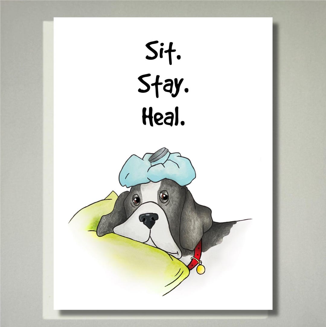 Funny Dog Get Well Card Sit. Stay. Heal. - Etsy