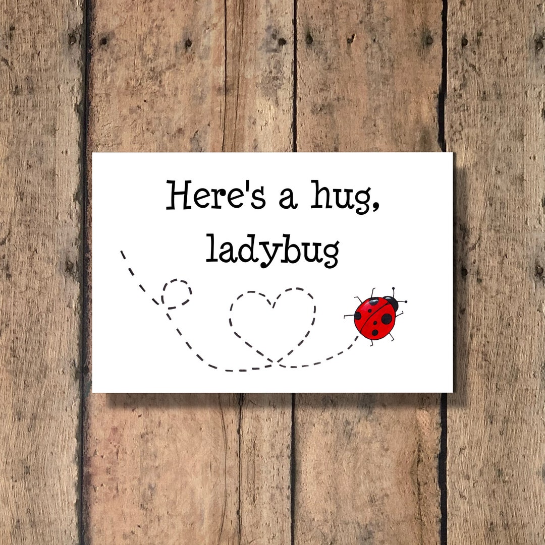 Funny Ladybug Postcard Here's a Hug, Ladybug - Etsy