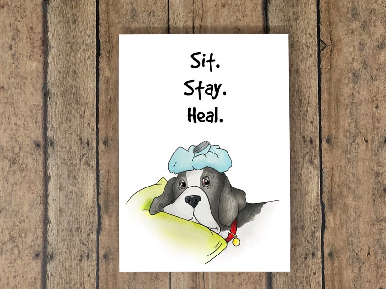 Funny Get Well Card Sit. Stay. Heal. - Etsy