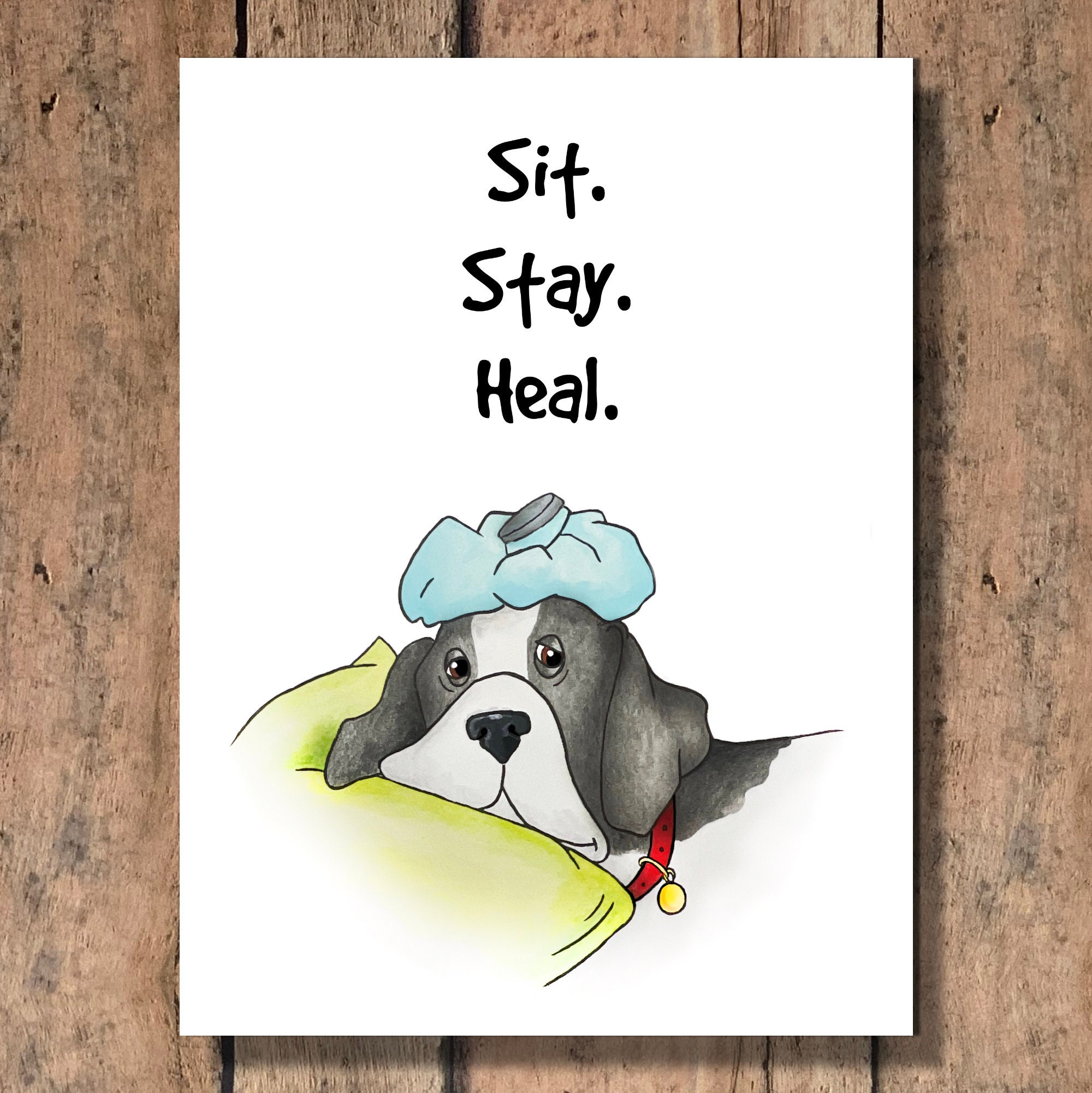 Get Well Soon Puppy Ecard