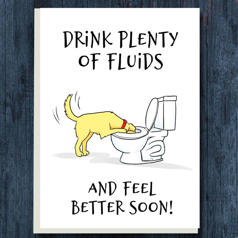 Get Well Soon Animal Card - Etsy