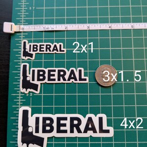 1911 Liberal Gun Owner Sticker 3 Sizes Pro-2a Second Amendment ...