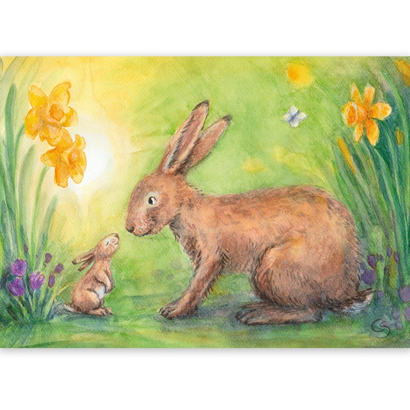 Bunny Postcard - Etsy