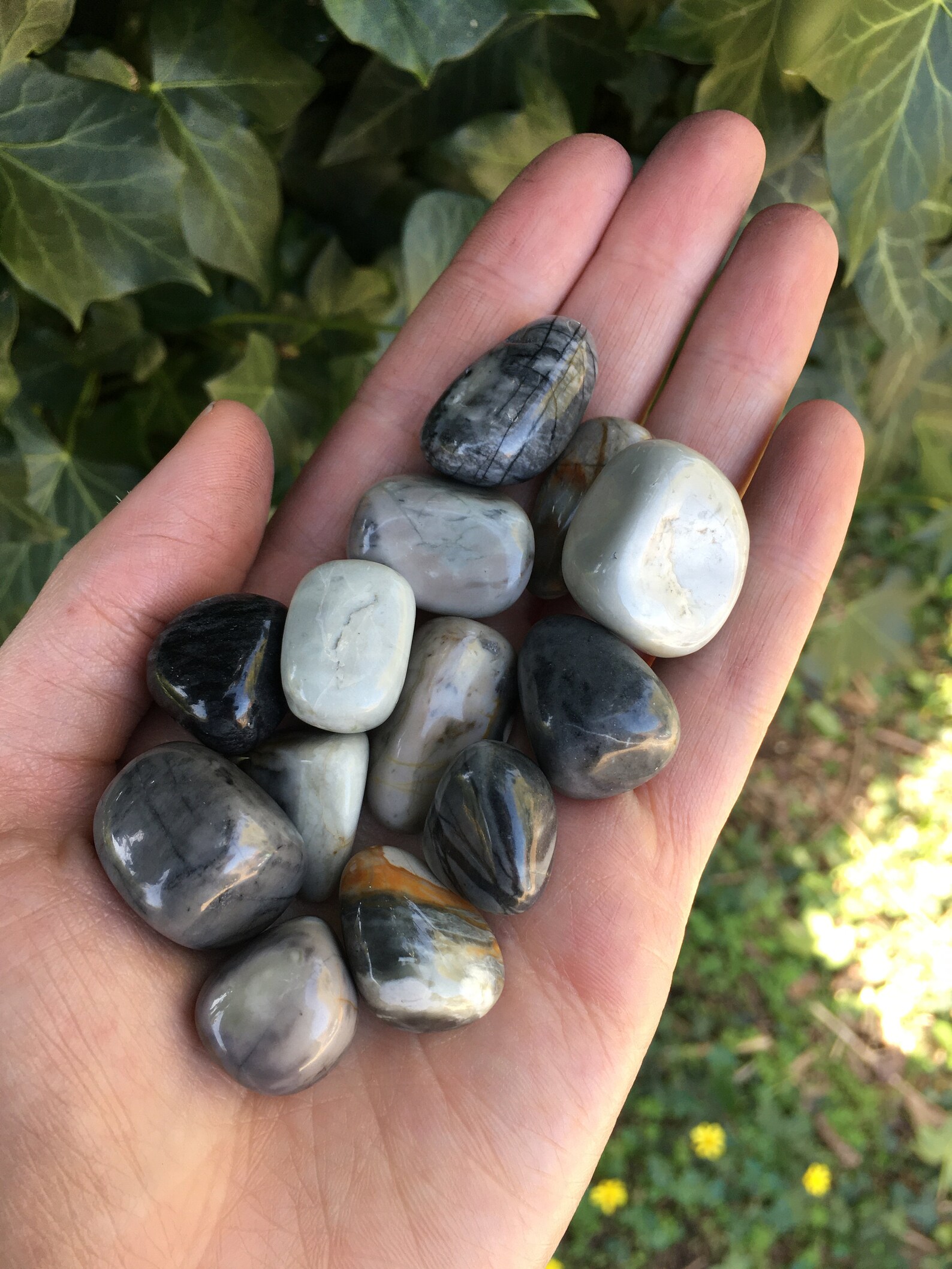 Picasso Jasper Tumblestone Picasso Stone Tumbled Jasper - Etsy