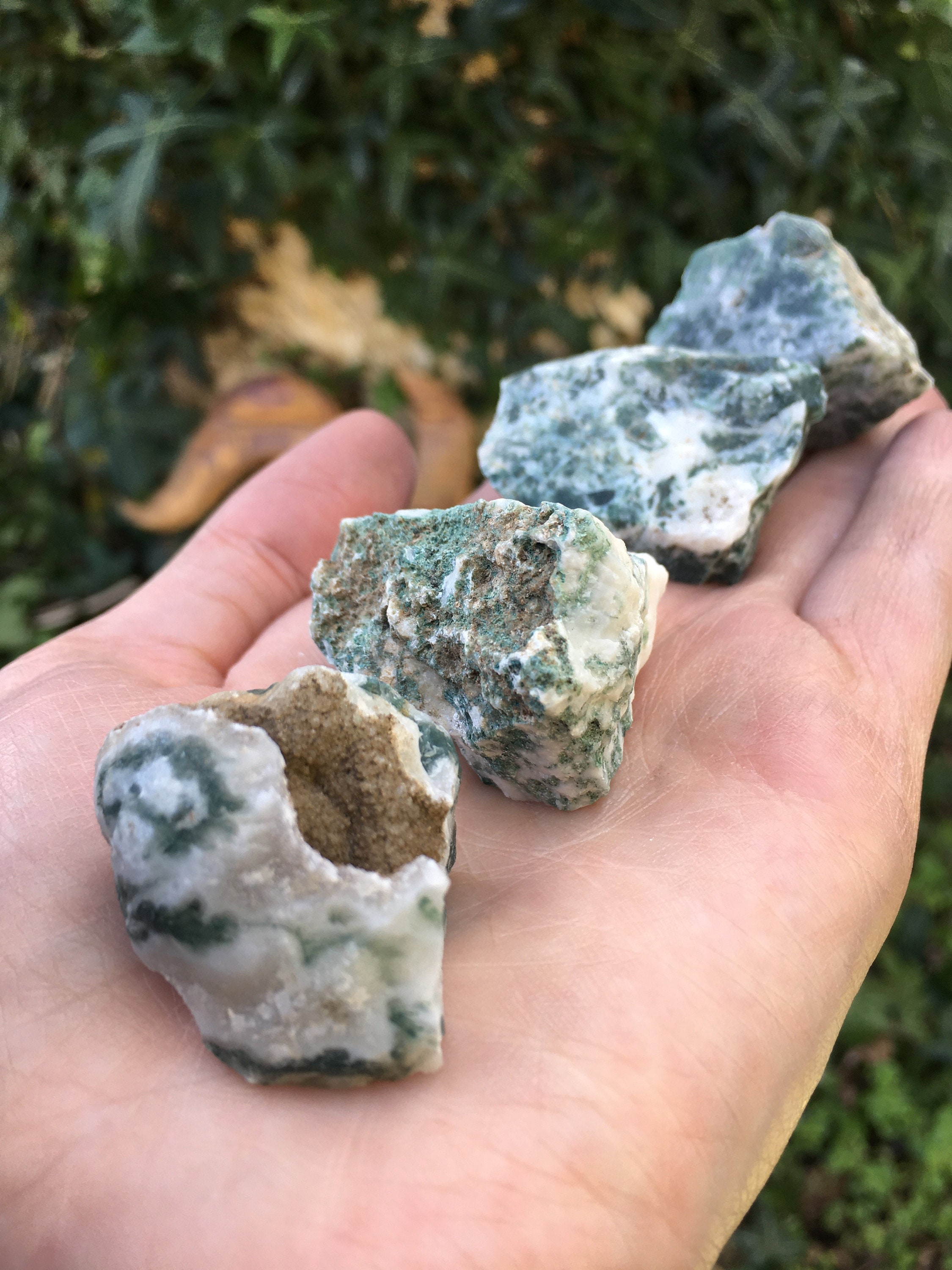 Tree Agate Rough Agate Agate Raw Crystal - Etsy UK