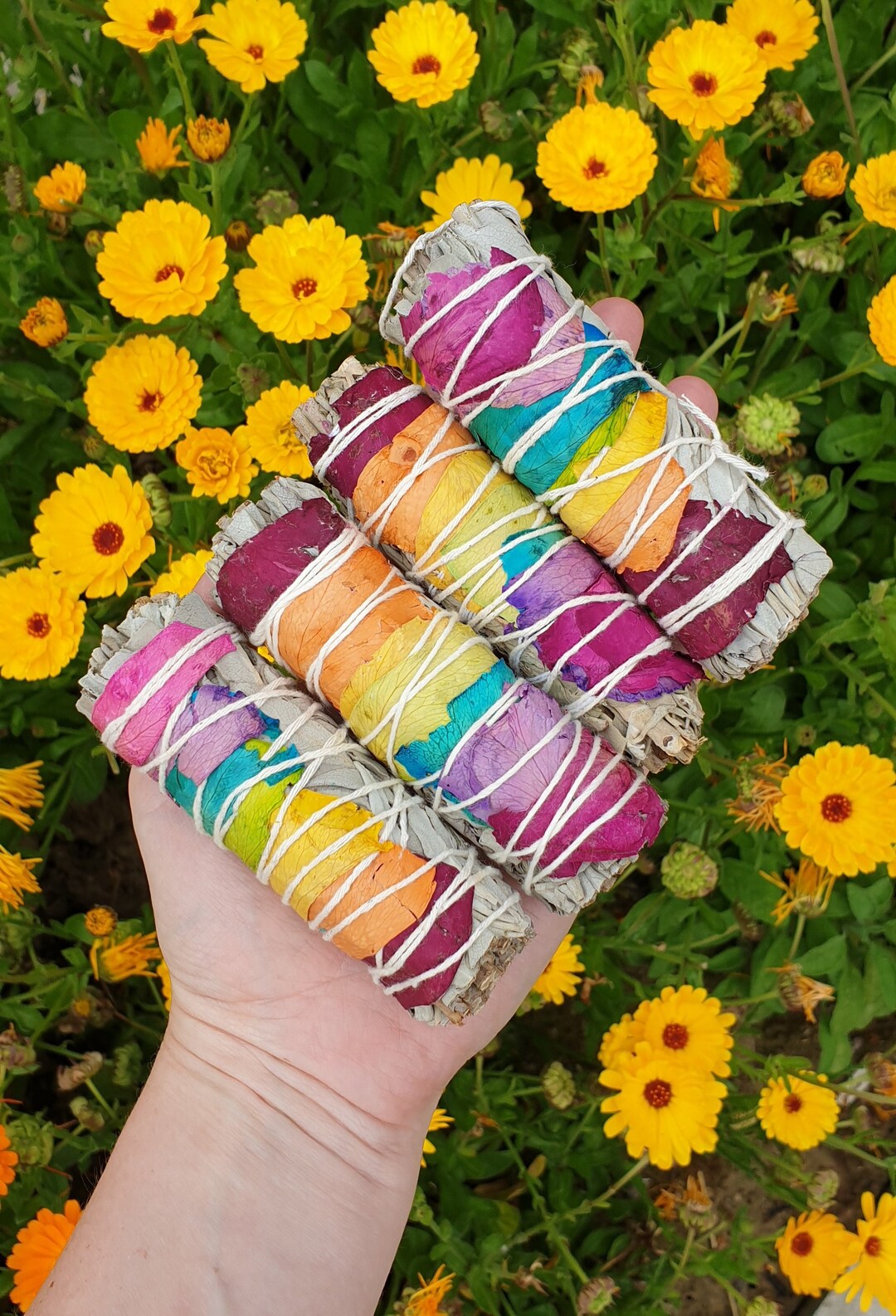 Chakra Smudging Stick , Rainbow White Sage Stick , Chakra Healing ...