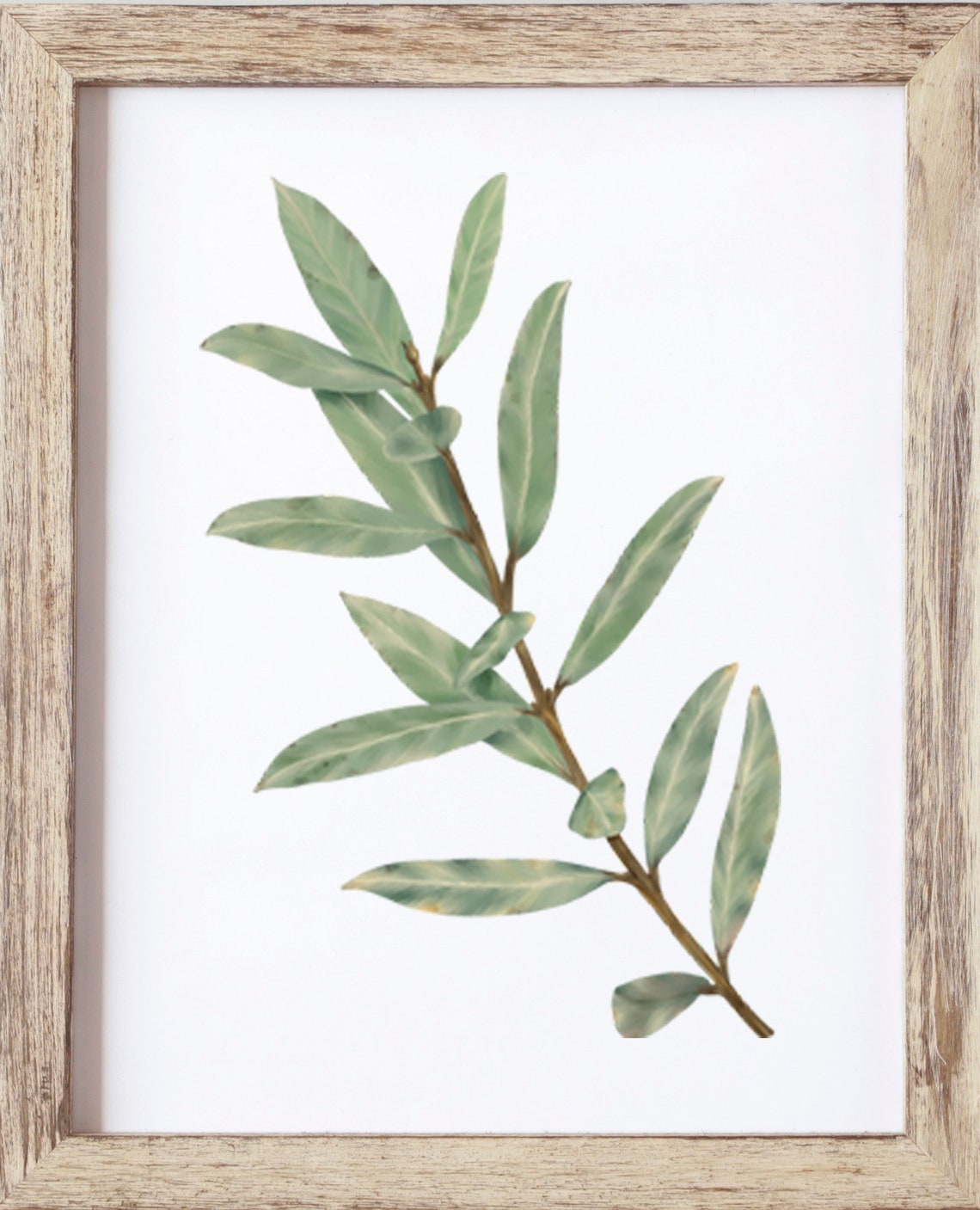 Botanical Print Leaf Wall Art Leaf Print Botanical Art - Etsy UK