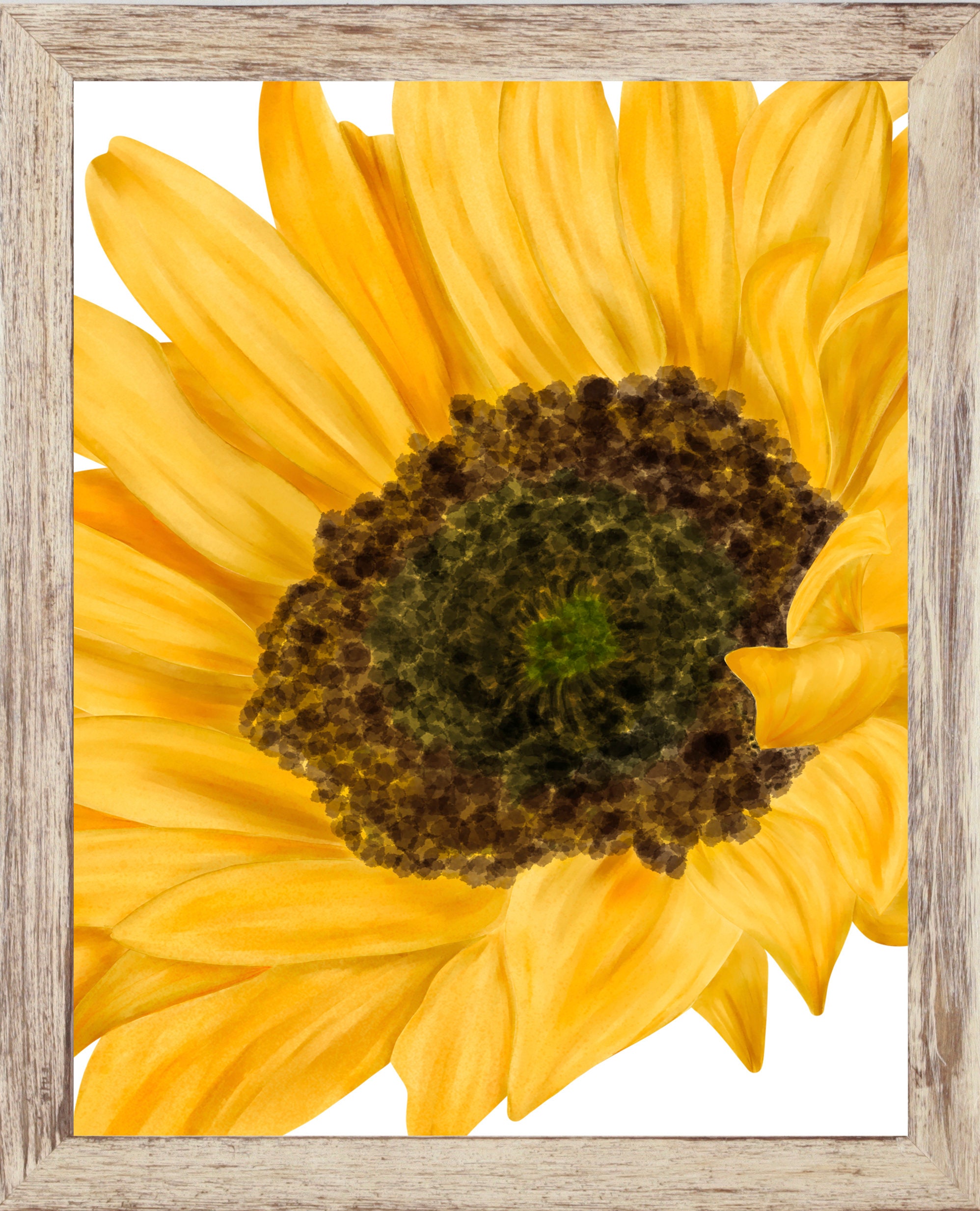 Sunflower Print Botanical Print Sunflowers Wall Art - Etsy