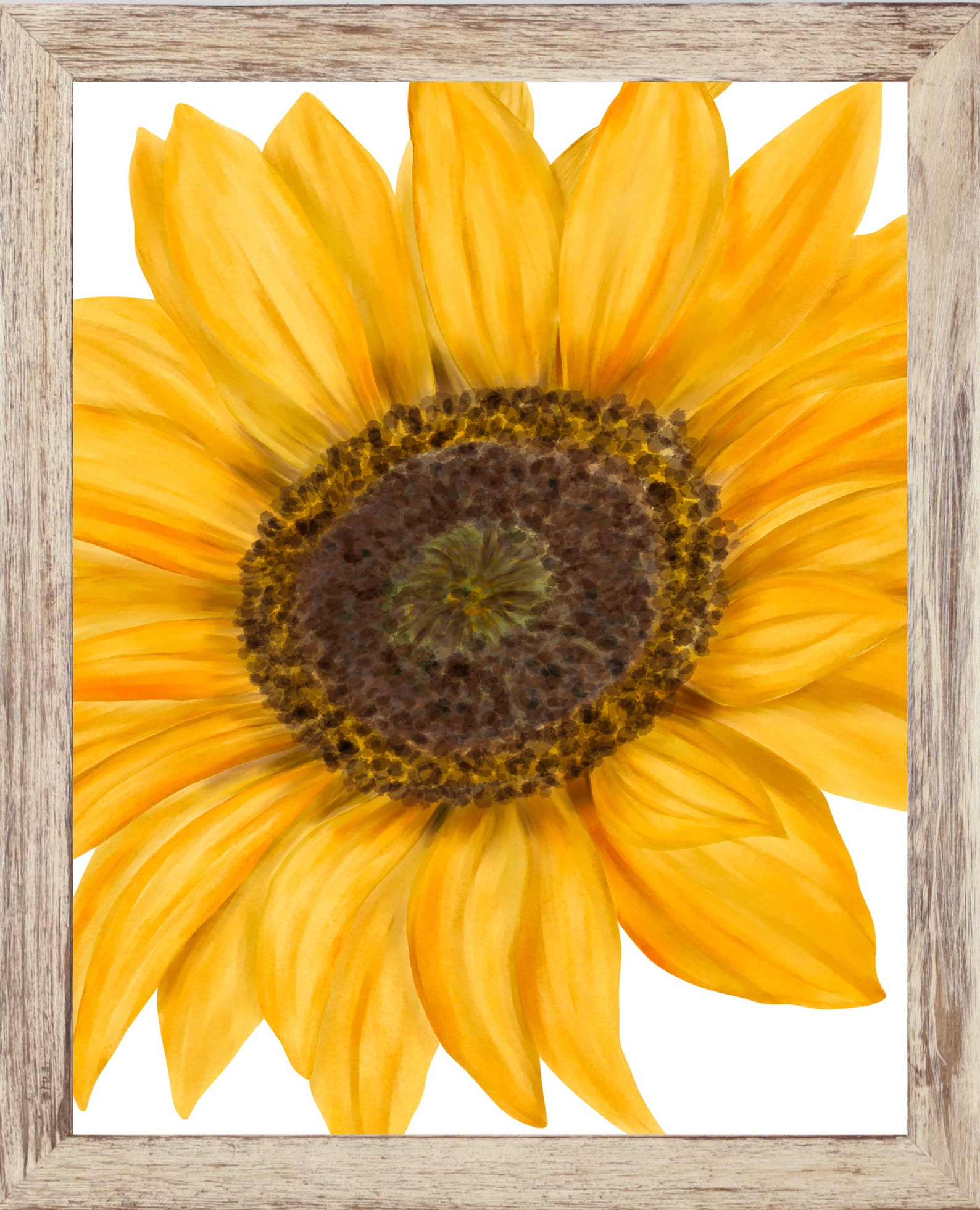 Sunflower Print Botanical Print Sunflowers Wall Art - Etsy