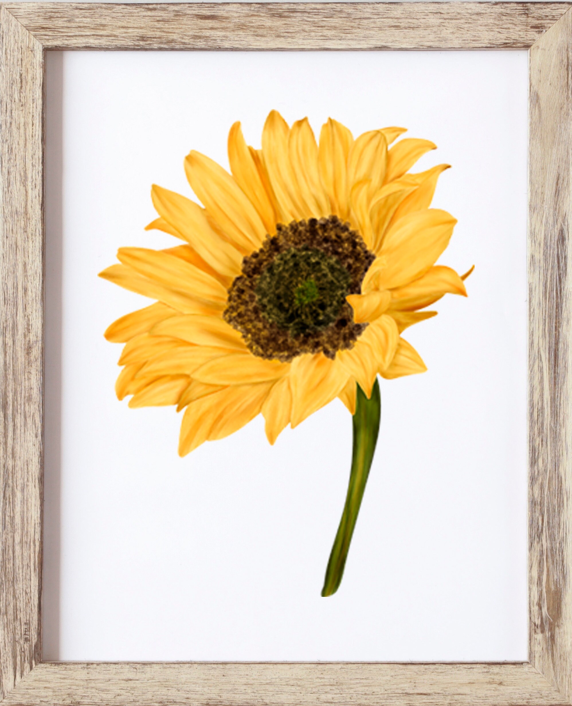 Sunflower Print Botanical Print Sunflowers Wall Art | Etsy