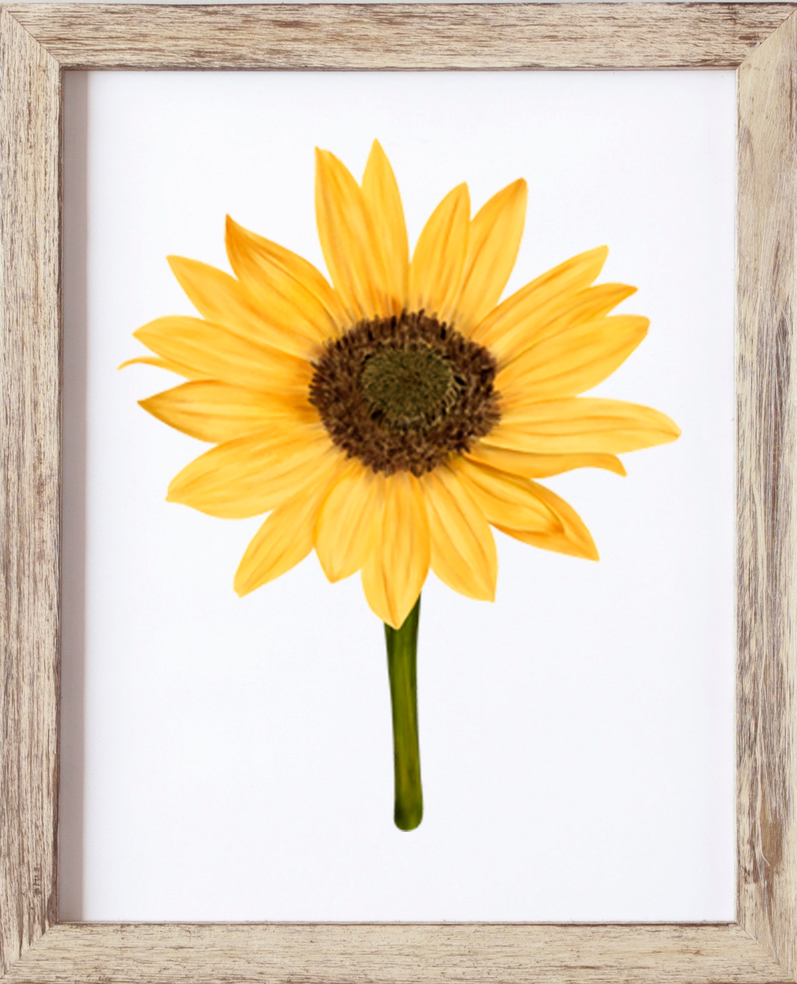 Sunflower Print , Botanical Print , Sunflowers Wall Art , Flower Art ...