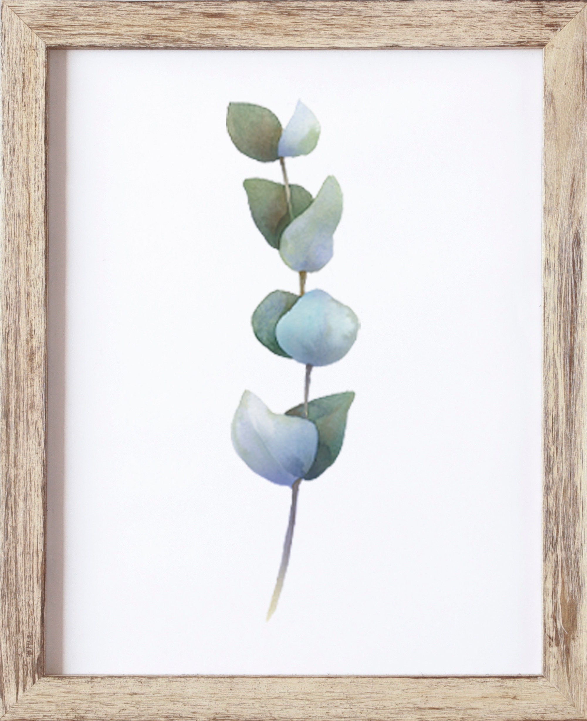 Botanical Print Eucalyptus Wall Art Leaf Print Botanical | Etsy