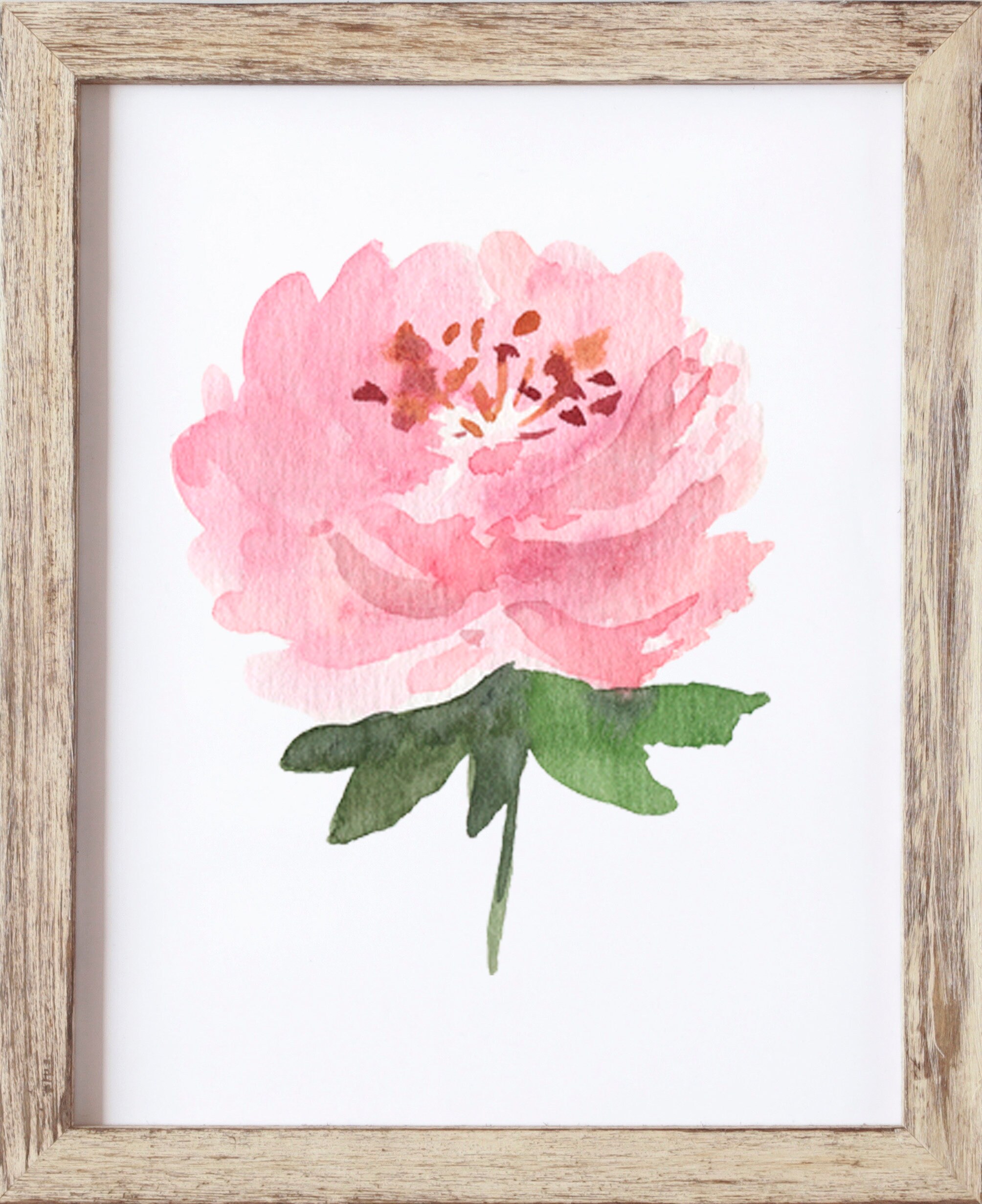 Flower Print Botanical Print Pink Flower Wall Art Peony - Etsy UK