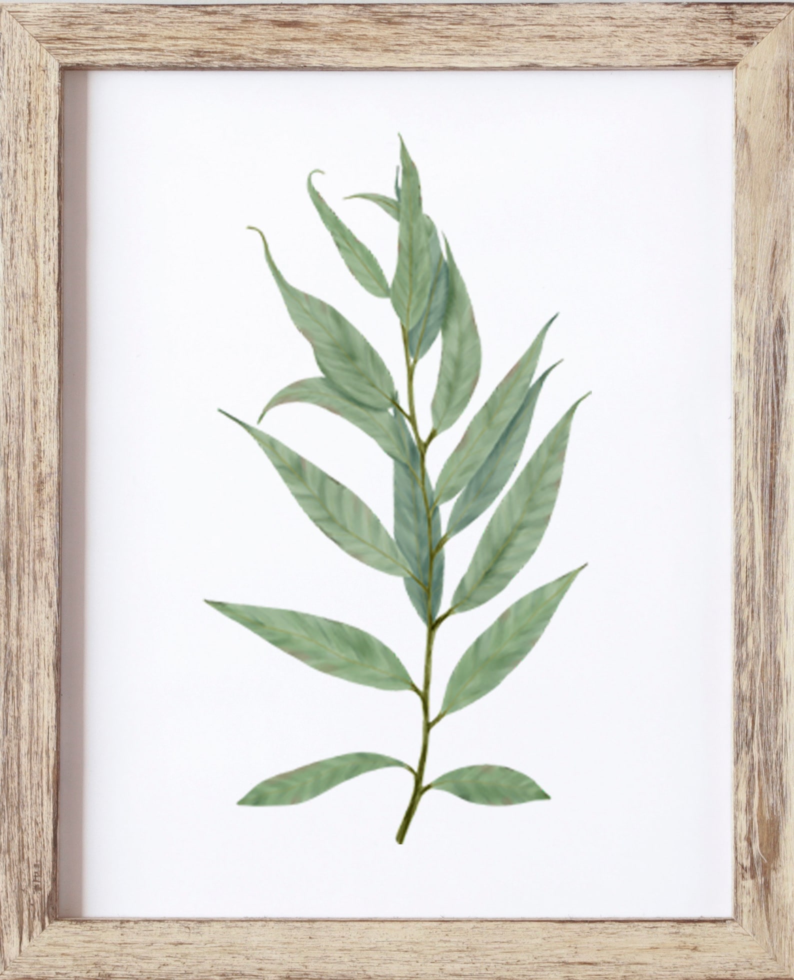 Botanical Print Leaf Wall Art Leaf Print Botanical Art - Etsy UK