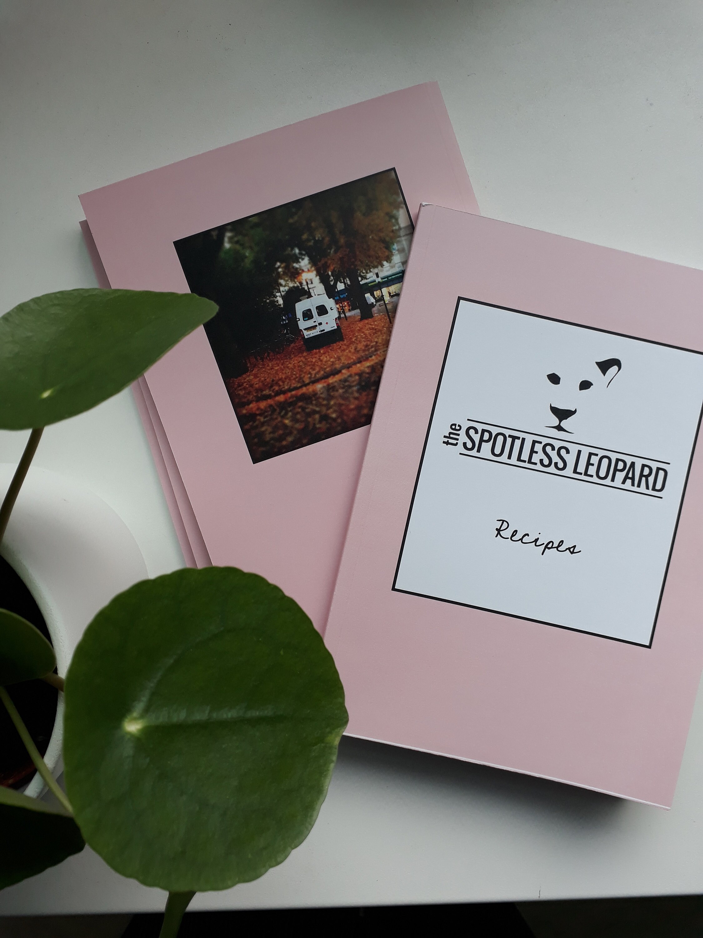 The Spotless Leopard Vegan Food Truck Digital PDF Recipe Book ...
