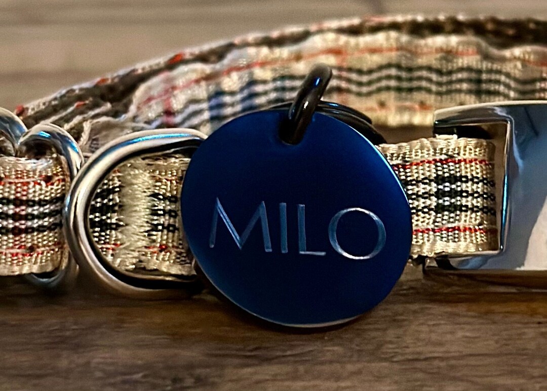 Engraved Black Dog Tag: Minimalist Stainless Steel Pet ID, Small Cat ...