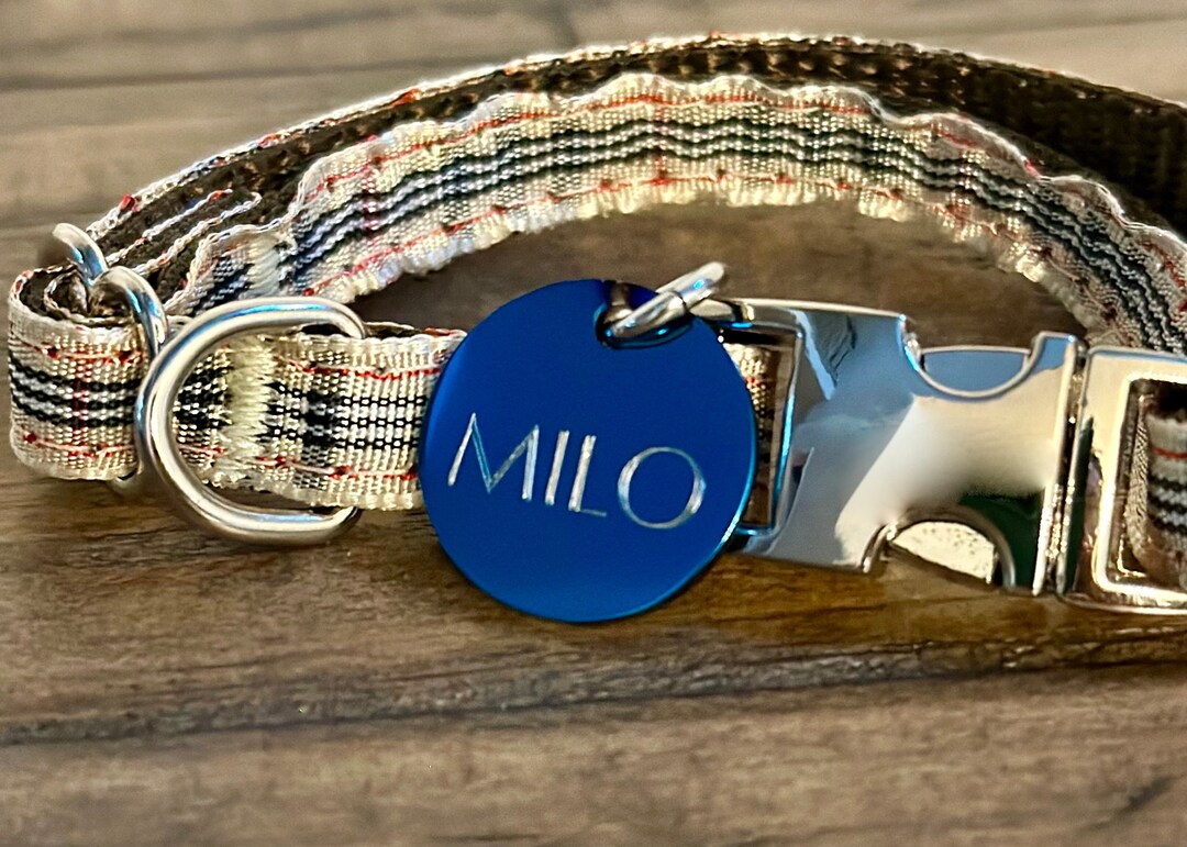 Small Blue Dog Tag Custom Engraved Stainless Steel Minimalist Microchip ...