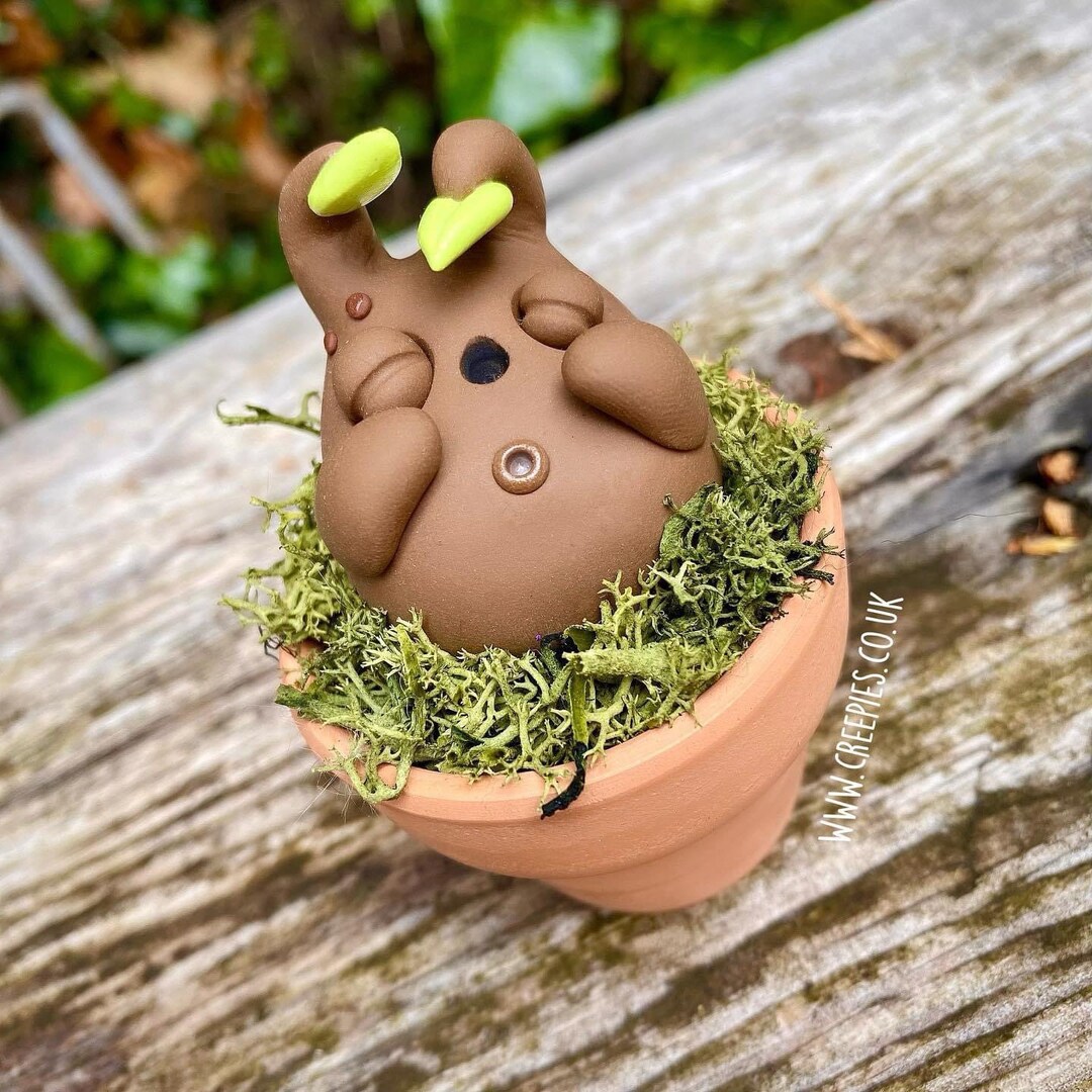 MANDRAKE, Clay, Handmade, Mandragora, Plant Lover, Desk Buddy - Etsy