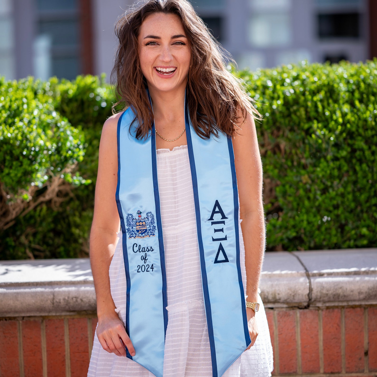 Alpha Xi Delta Sorority Crest Graduation Angled Stole Trim / Greek ...