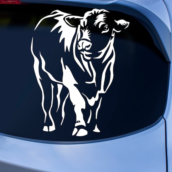 Angus Cow Car Decals - Etsy
