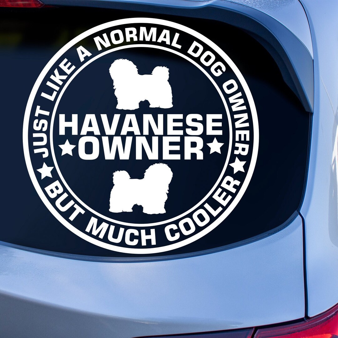 Havanese Sticker Dog Stickers for Cars Custom Dog Stickers Like A ...