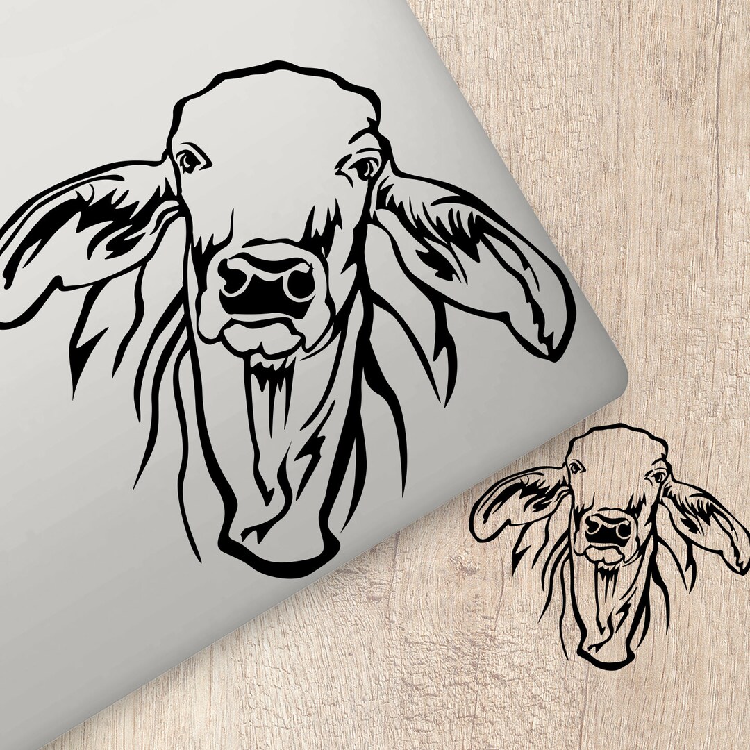 Brahman Sticker Cow Stickers for Cars Brahman Cattle Cow - Etsy UK