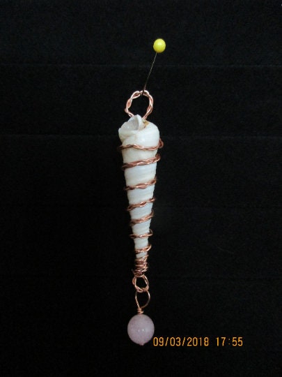 1 3/4 Inch or 2 Inch ....copper Wrapped Auger Shell W/ Fresh Water ...